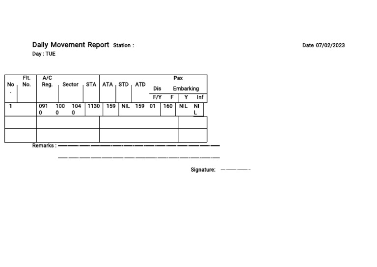 Daily Movement Report | PDF