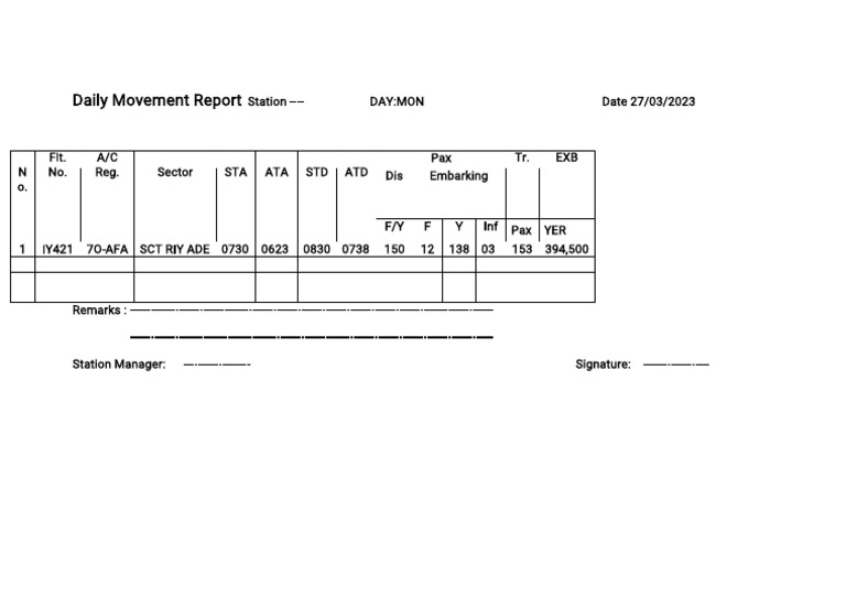 Daily Flight Movement Summary | PDF