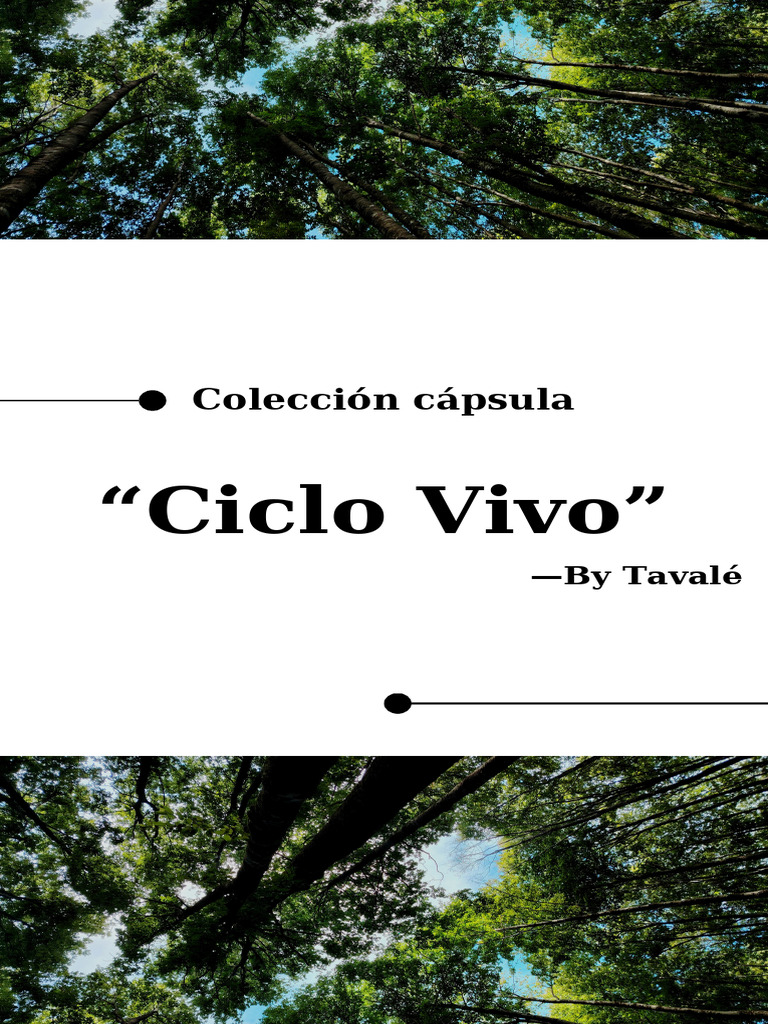 Catálogo Tavalé | PDF