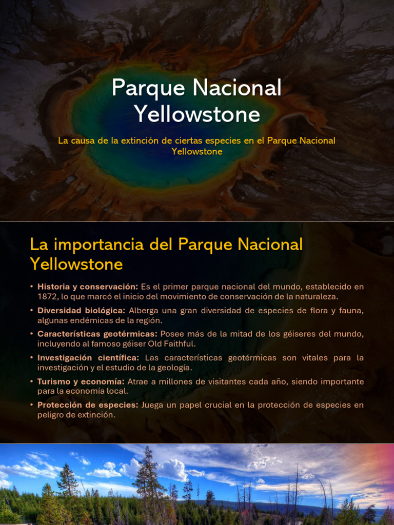 Parque Nacional Yellowstone | PDF | Parque Nacional Yellowstone | montañas Rocosas