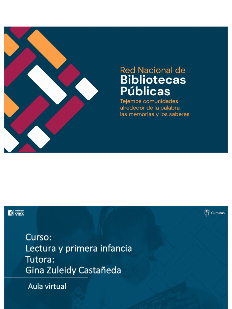Curso - Virtual - Lectura - PI M1 | PDF | Bibliotecas | Salón de clases