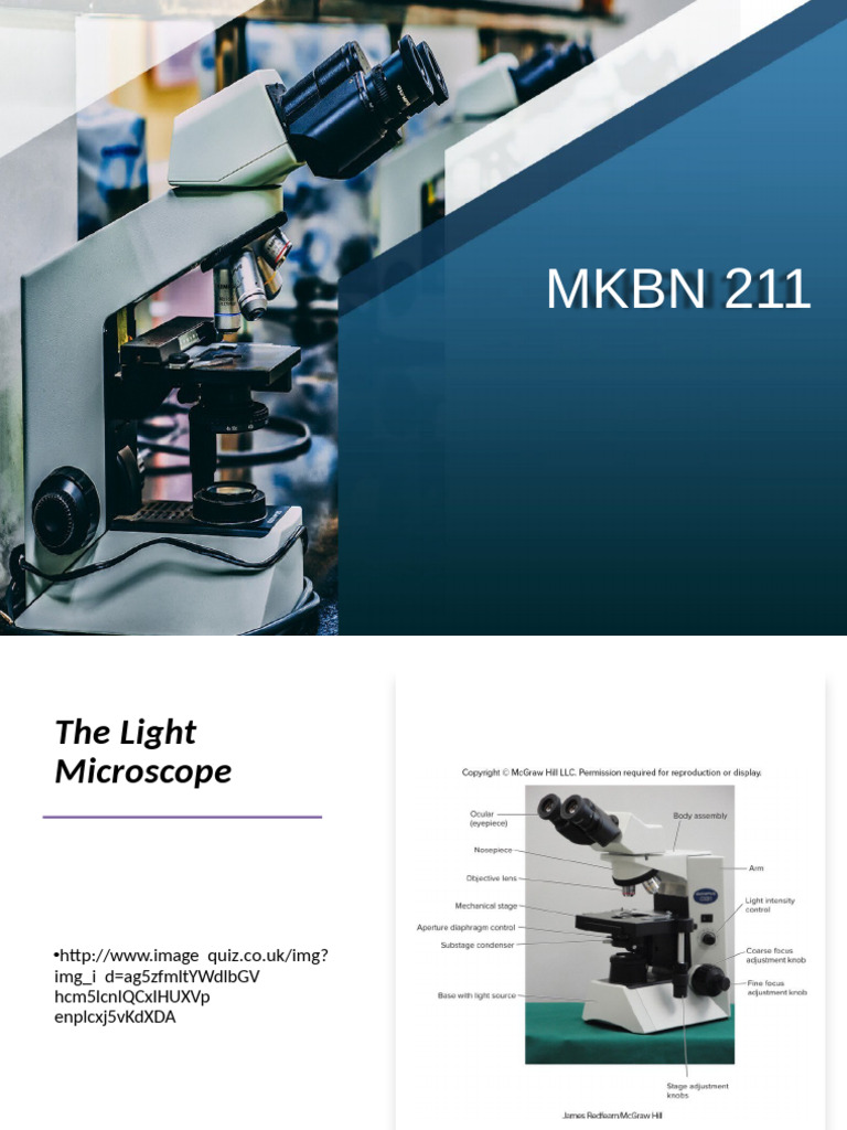 Microscope Parts and Yeast Observation | PDF | Electromagnetic ...