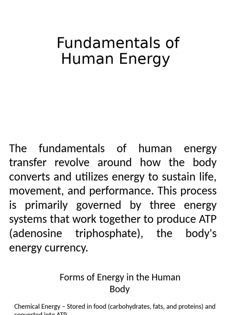 Human Energy Systems Explained | PDF | Cellular Respiration | Skeletal ...