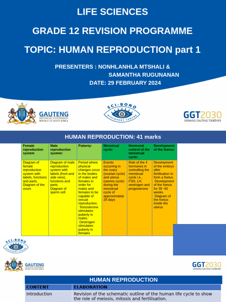 Human Reproduction 2024 | PDF | Reproductive System | Menstrual Cycle
