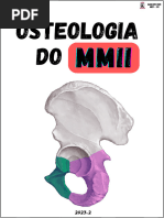 Anatomia do Osso Ilíaco e Pelve | PDF | Coluna vertebral | Pélvis