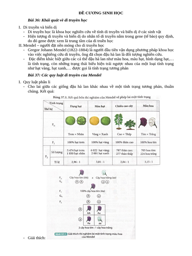 Đề Cương Sinh Học 9 ghk1 | PDF