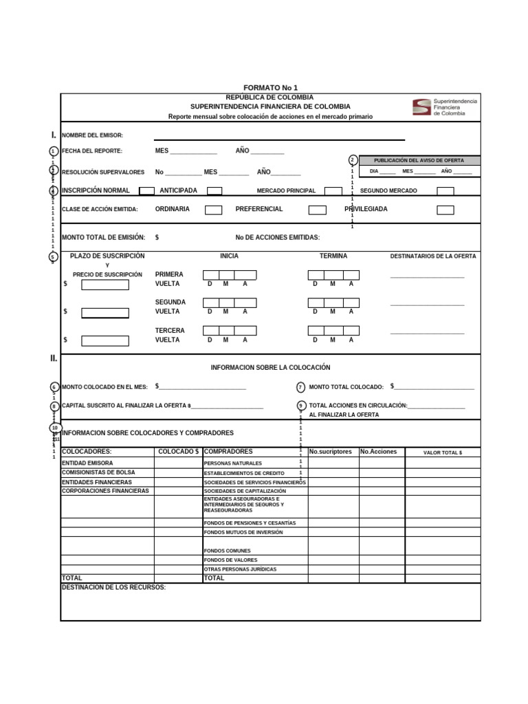 Formato 1 | PDF | Compartir (Finanzas) | Bolsa