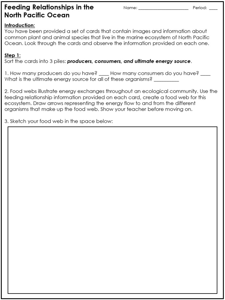 Feeding Relationships in The Pacific Northwest-Activity | PDF | Food ...