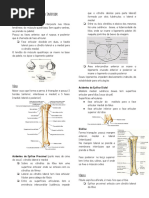 Anatomia Tibia e Fibula | PDF