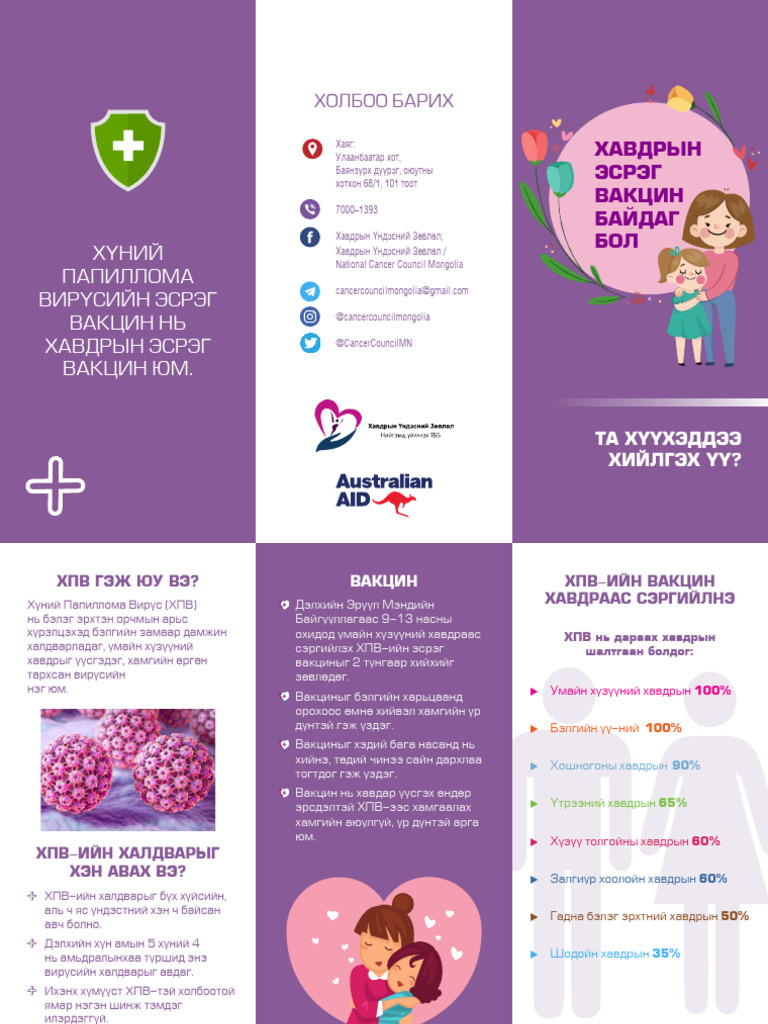 HPV Vaccine | PDF