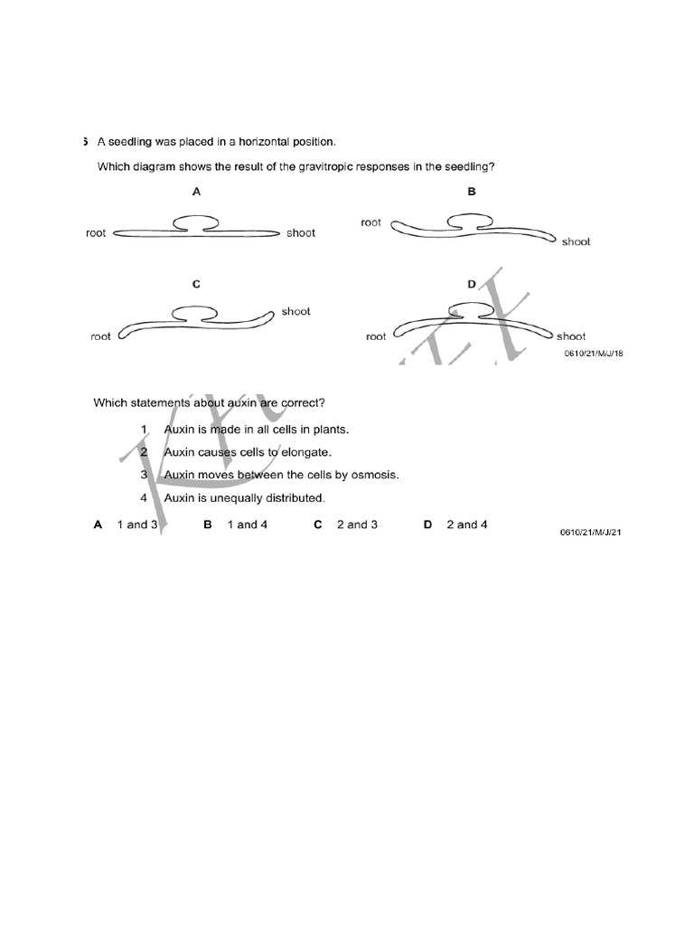 Plant Tropism Worksheet | PDF