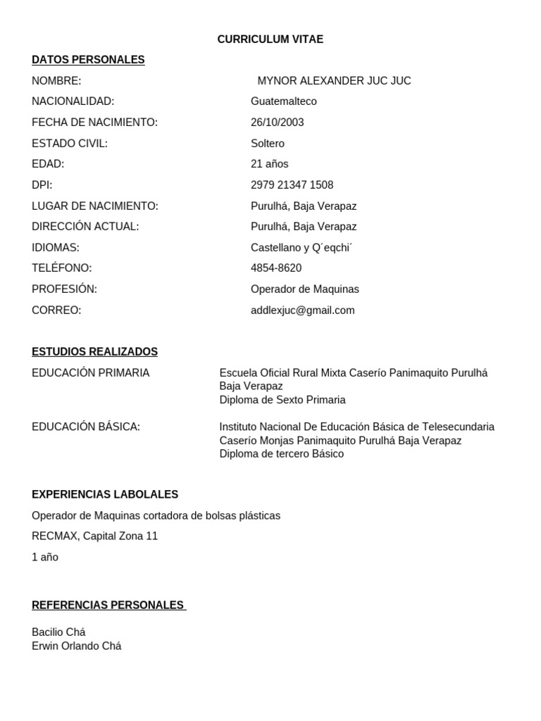 Curriculum - Vitae Jaime Rene | PDF