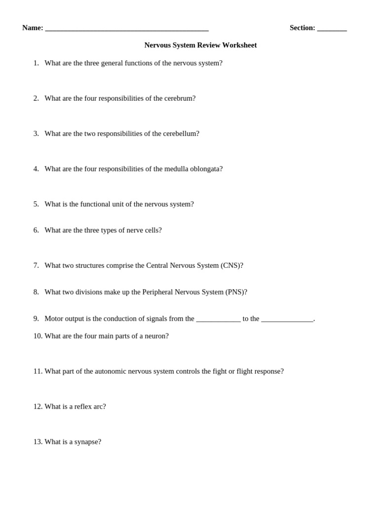 Nervous System Review Worksheet | PDF | Nervous System | Central ...