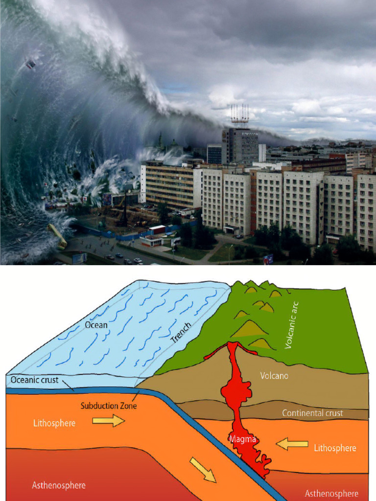 Activity 4b Head On Collision | PDF