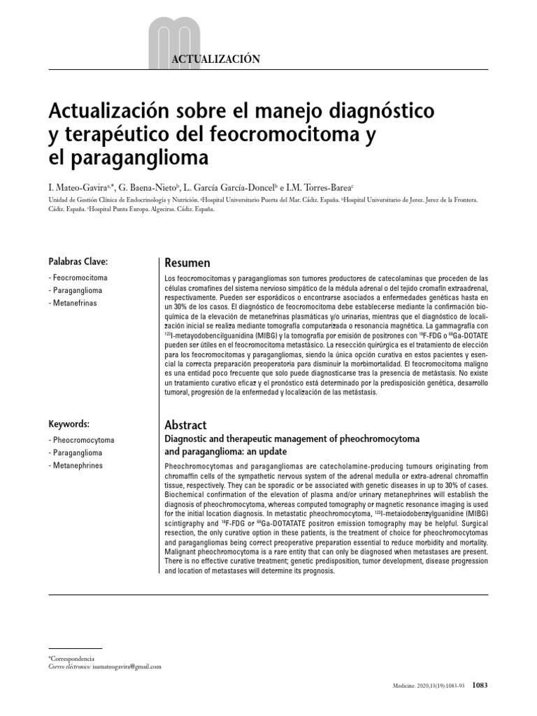 Actualización Sobre El Manejo Diagnóstico Terapéutico Del Feocromocitoma y Paraganglioma | PDF ...