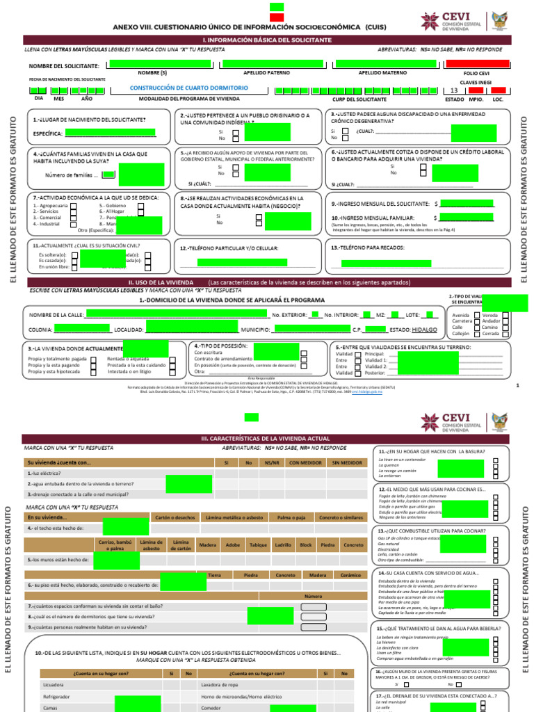 Anexo Viii Cuis (Guía) | PDF