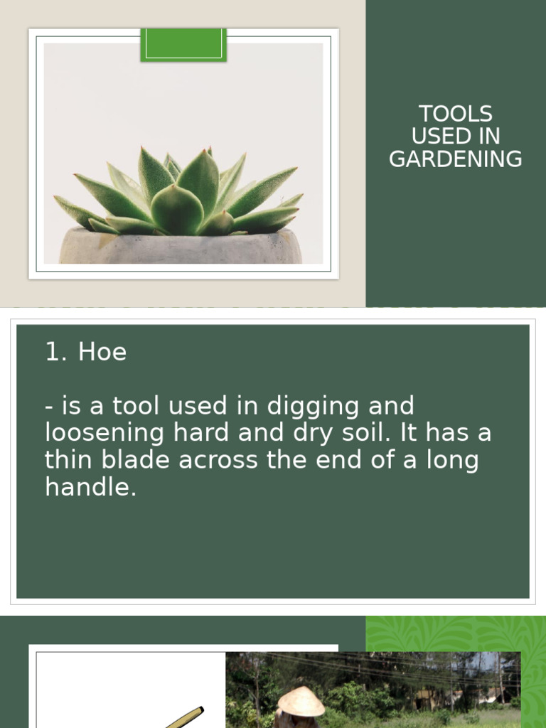 Essential Gardening Tools Explained | PDF