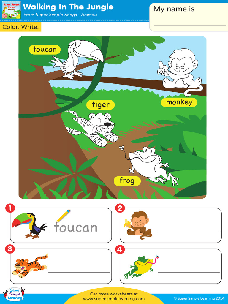 Walking in The Jungle Worksheet Color and Write | PDF