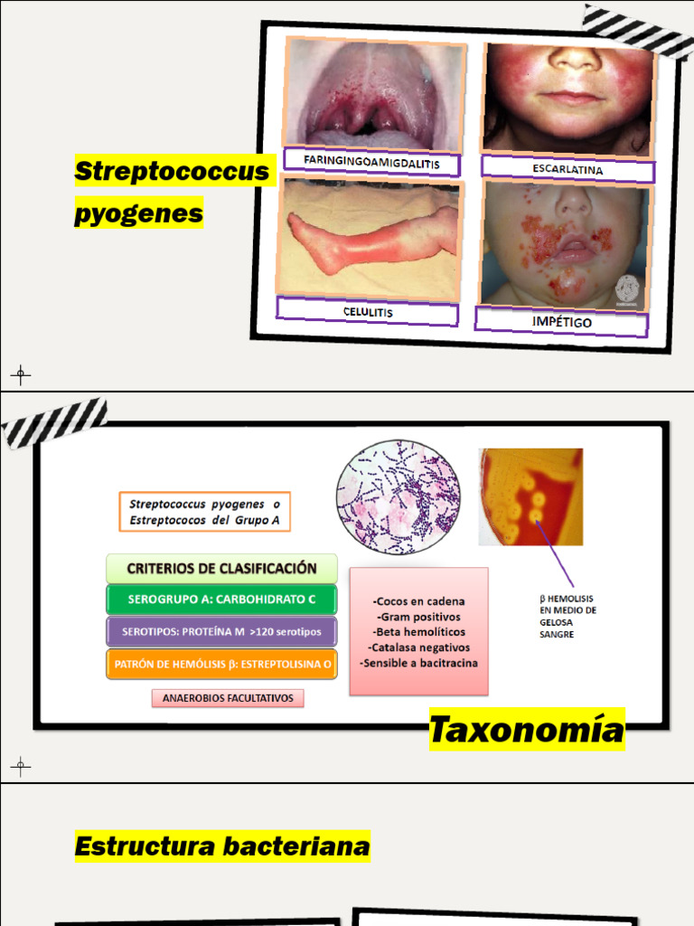 Streptococcus pyogenes: Infecciones y Tratamientos | PDF | Enfermedades ...