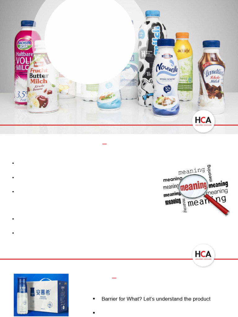 Holland Colours Presentation | PDF | Dairy | Food Science