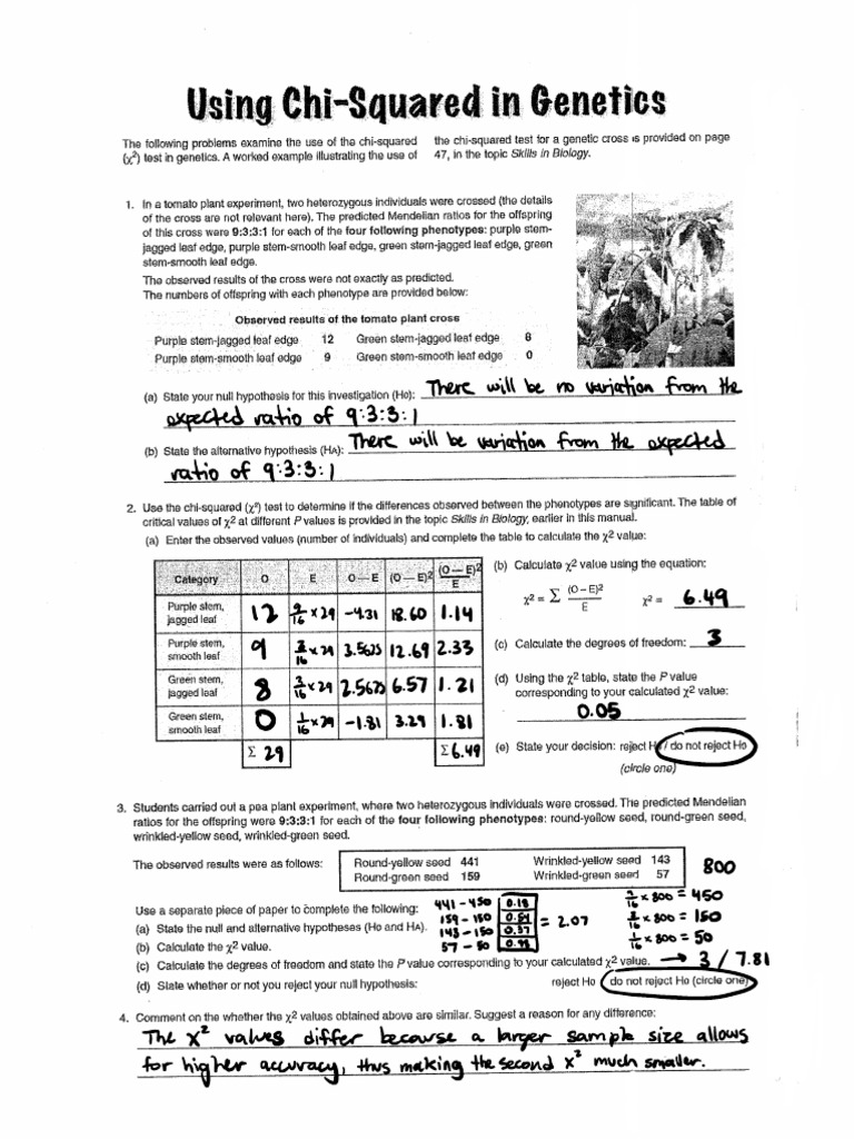 Chi-Square in Genetics Biology AP | PDF