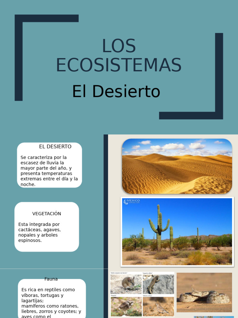 Los Ecosistemas El Desierto | PDF