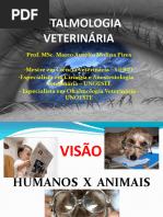 Questionario Oftalmologia | PDF