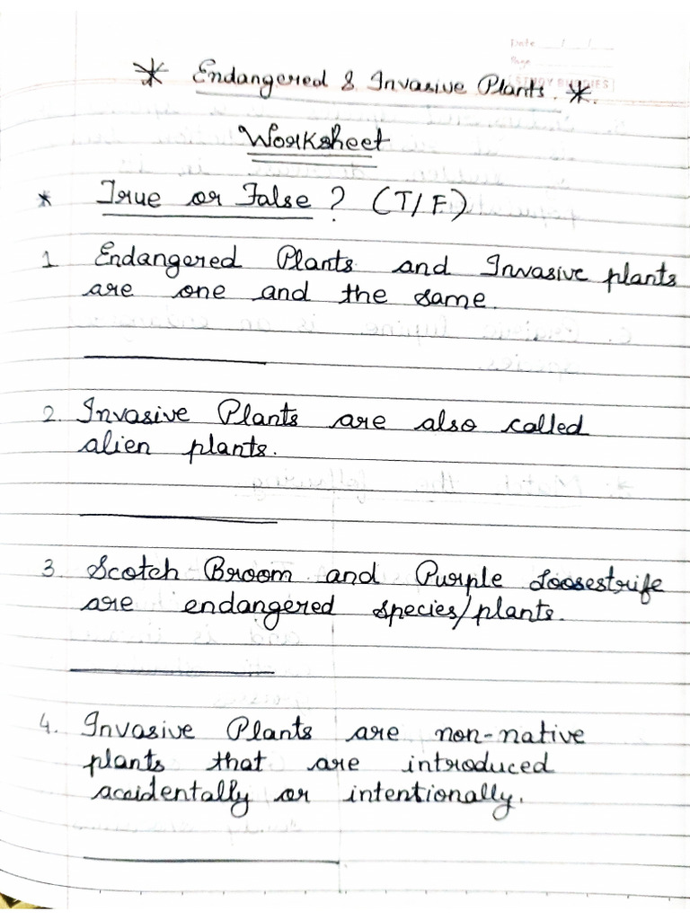 Science Grade 3 Test Paper | PDF