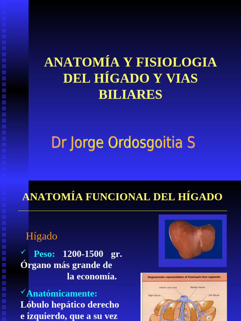 FISIOLOGÍA HEPÁTICA 2019-2 | PDF | Hígado | Bilis
