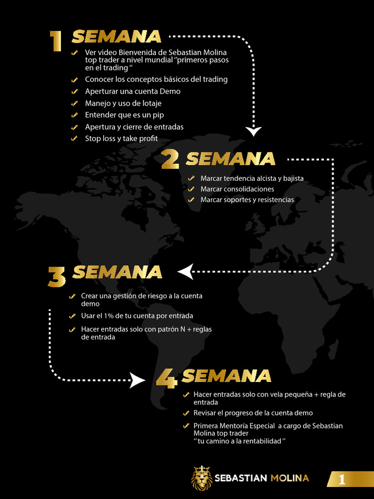 Primeros Pasos en el Trading con Sebastián Molina | PDF