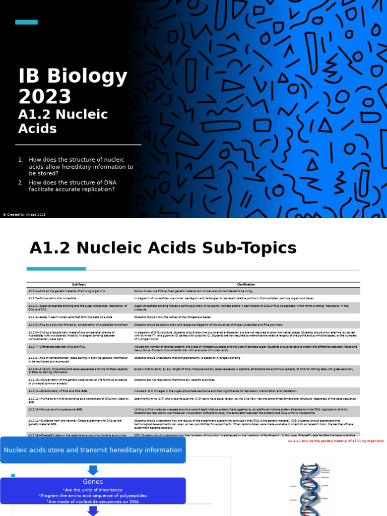 A1.2 Nucleic Acids PowerPoint-1 | PDF | Nucleotides | Dna