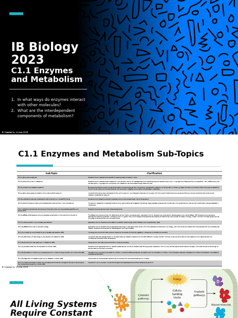C1.1 Enzymes and Metabolism Power Point-1 | PDF | Active Site | Enzyme