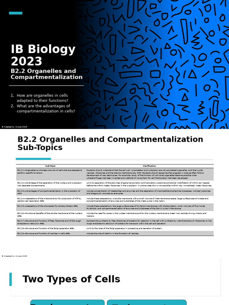B2.2 Organelles and Compartmentalization PowerPoint-1 | PDF ...