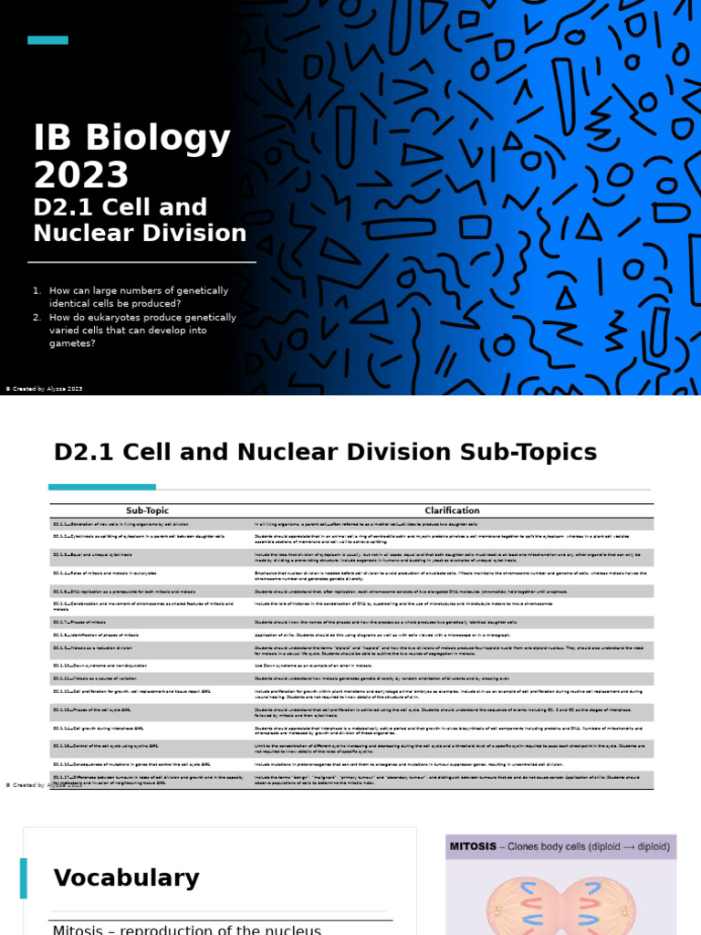 Cell and Nuclear Division in Eukaryotes | PDF | Meiosis | Mitosis