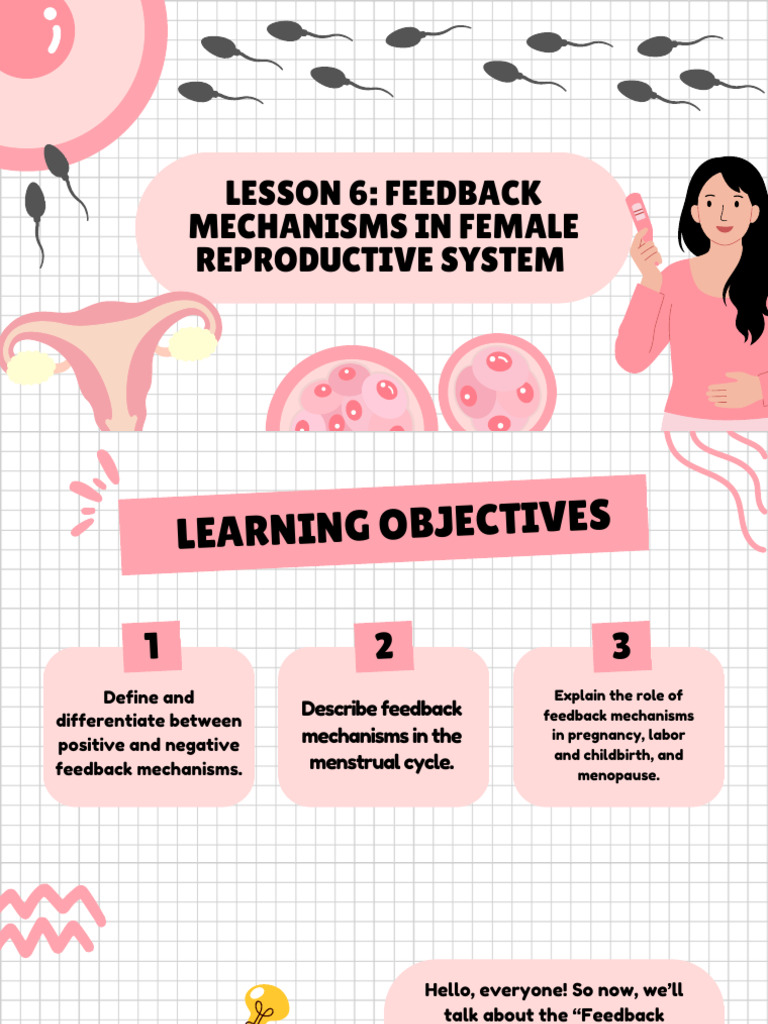 Female Reproductive Feedback Mechanisms | PDF | Menstrual Cycle | Luteinizing Hormone