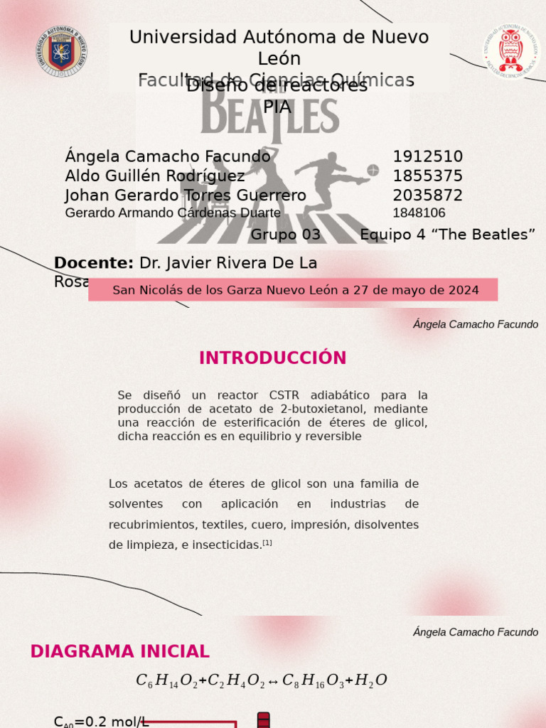 Proyecto Diseño de Reactores | PDF | Reactor Quimico | Equilibrio químico