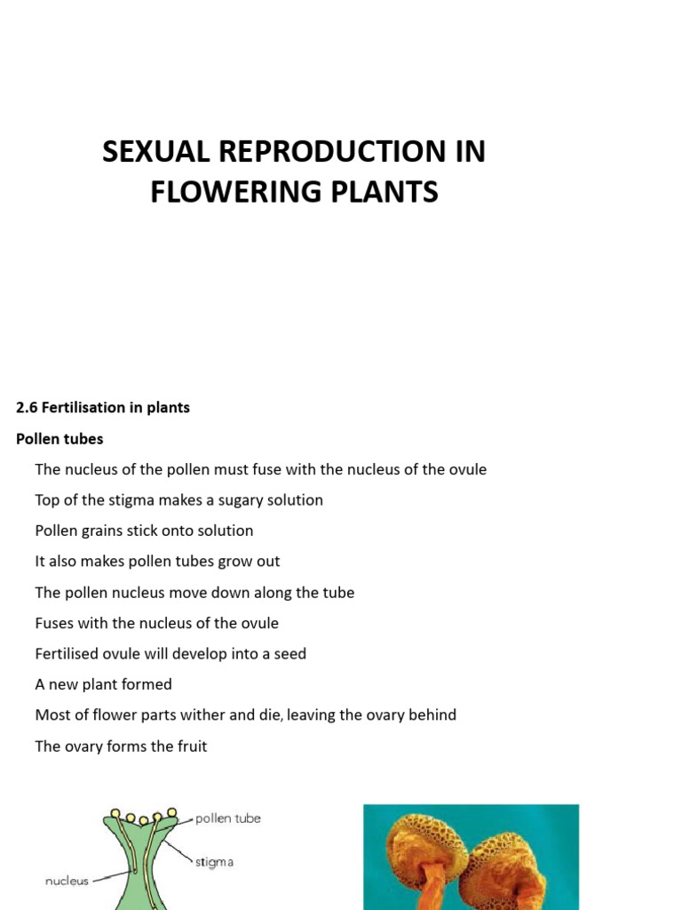 Reproduction in Flowering Plant (Es. Bio 9, 2.6-2.9) (Autosaved) - 1 ...