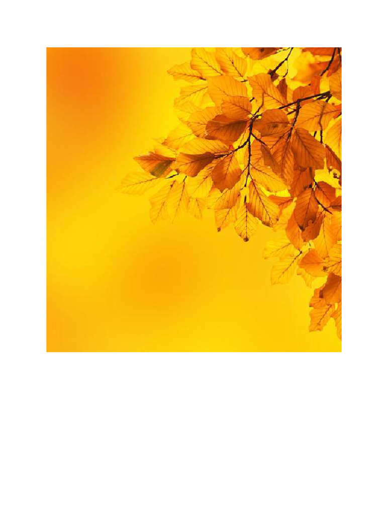 Yellow 4 | PDF