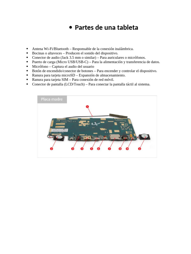 Partes de Una Tableta | PDF