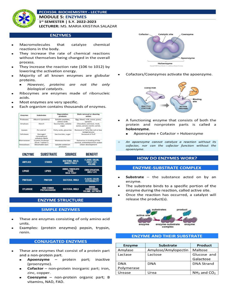 Biochem M5 Salazar Pdf