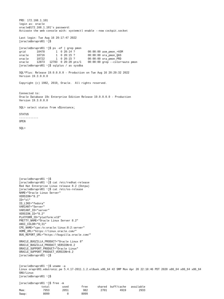 Oracle Golden Gate 19c | PDF | Backup | Databases