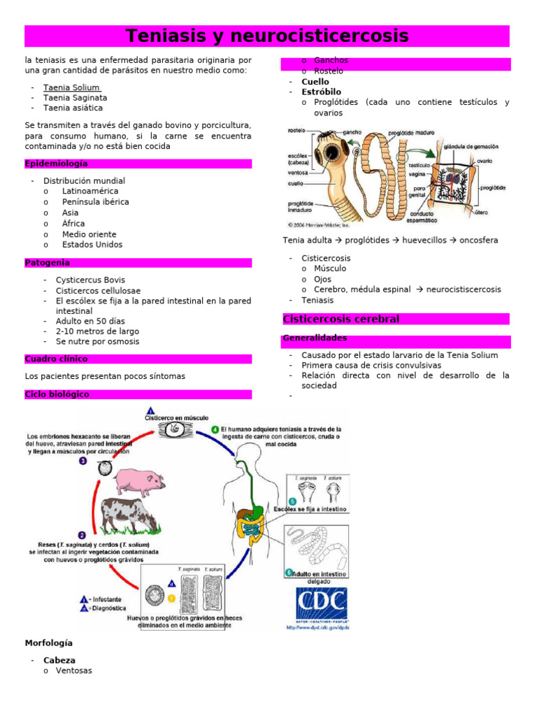 Teniasis y Neurocisticercosis | PDF