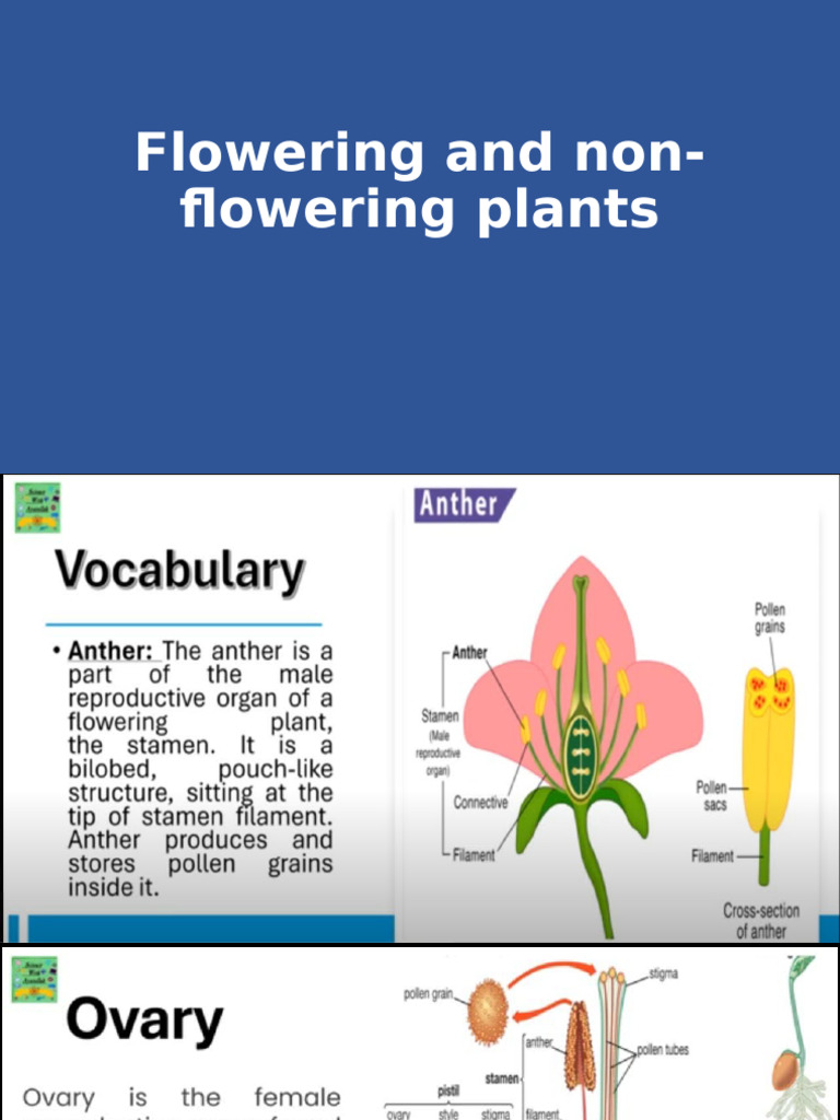 Flowering and Non-Flowering Plants | PDF