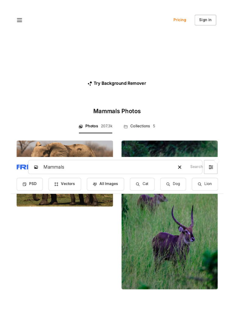 Mammals Pictures - Freepik | PDF