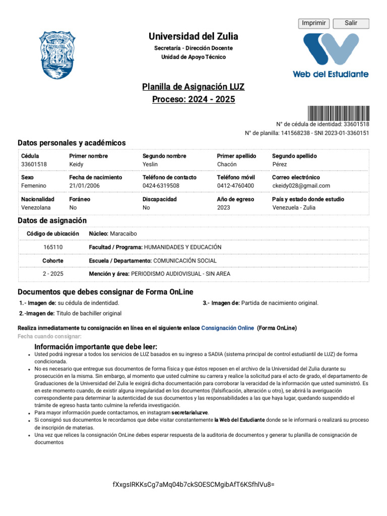 Asignación LUZ 2024-2025: Instrucciones y Documentos | PDF