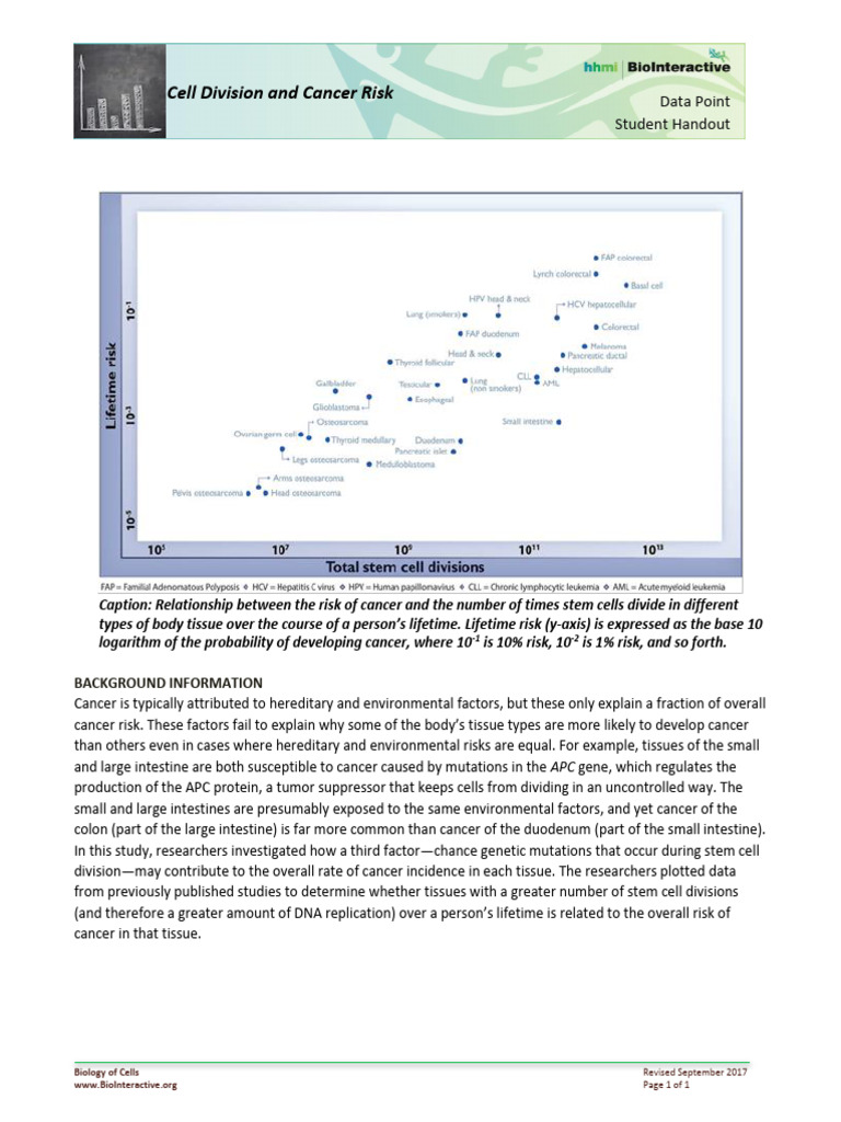 Cancer Risk and Stem Cell Division Analysis | PDF