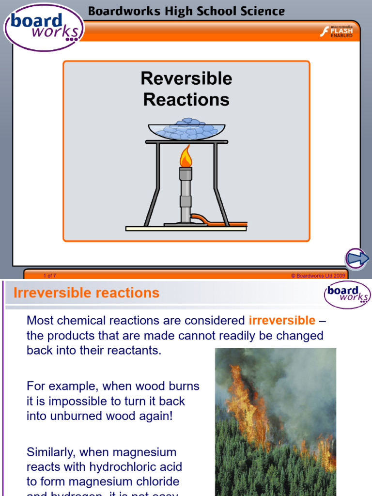 Reversible Reactions | PDF