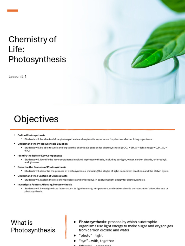 Chemistry+of+Life +photosynthesis | PDF | Photosynthesis | Chloroplast