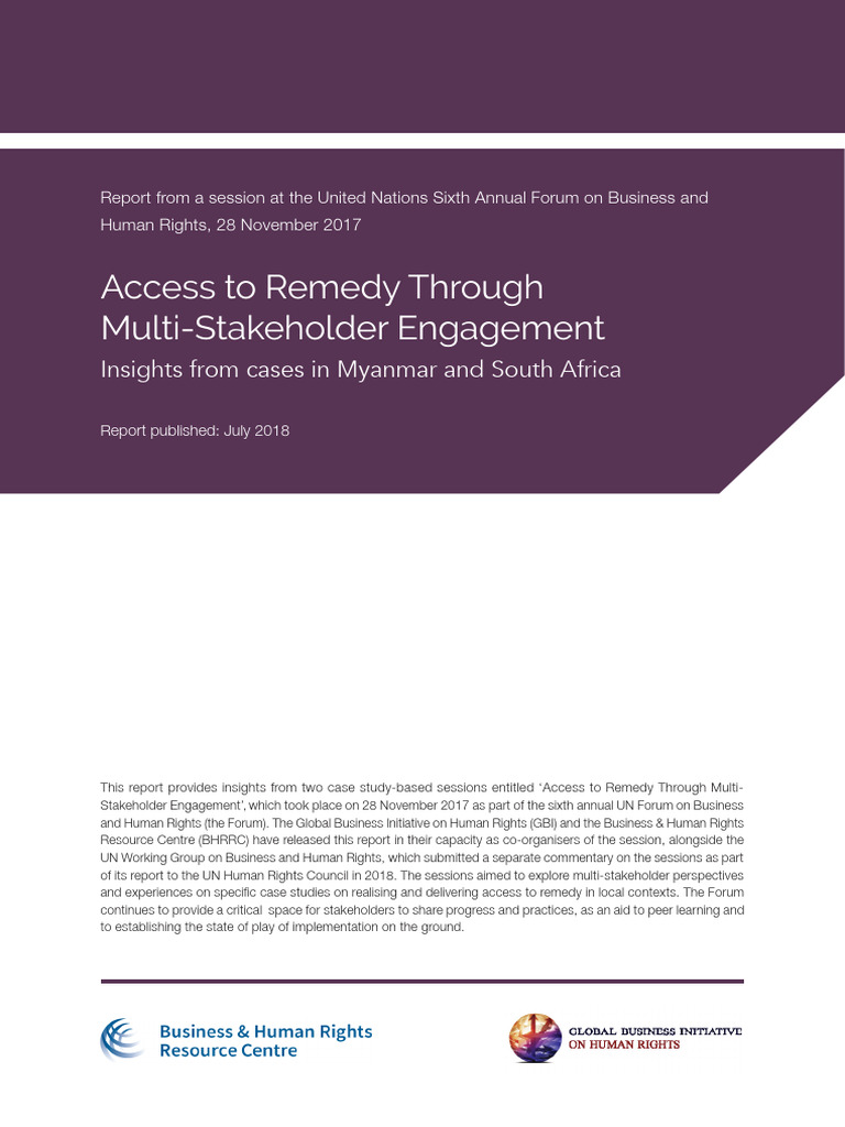 Multi-Stakeholder Panel Report - July 2018 - FINAL | PDF | Non ...