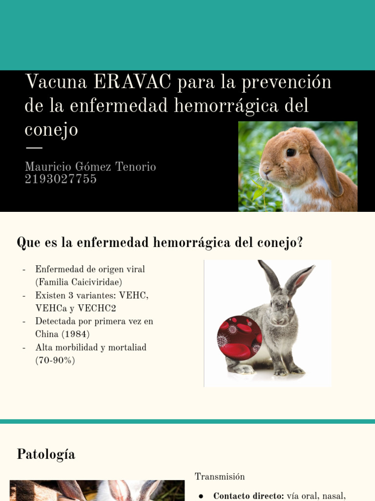 ERAVAC | PDF | Virus | Medicina